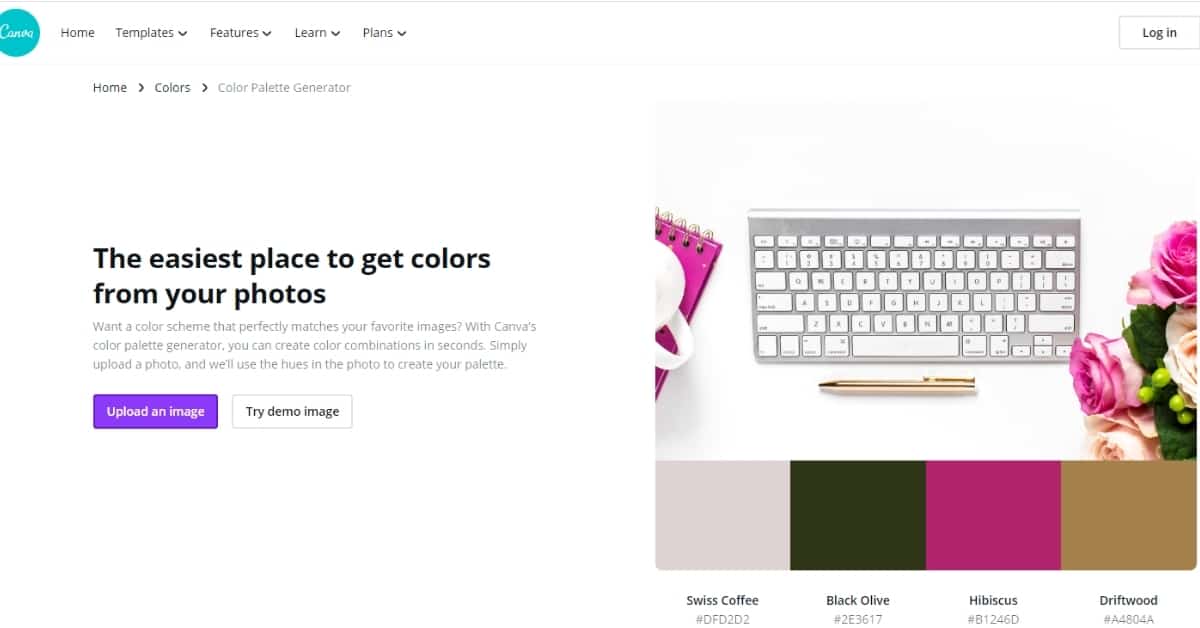 Create The Right Color Palette For Your Business With (Free) Canva